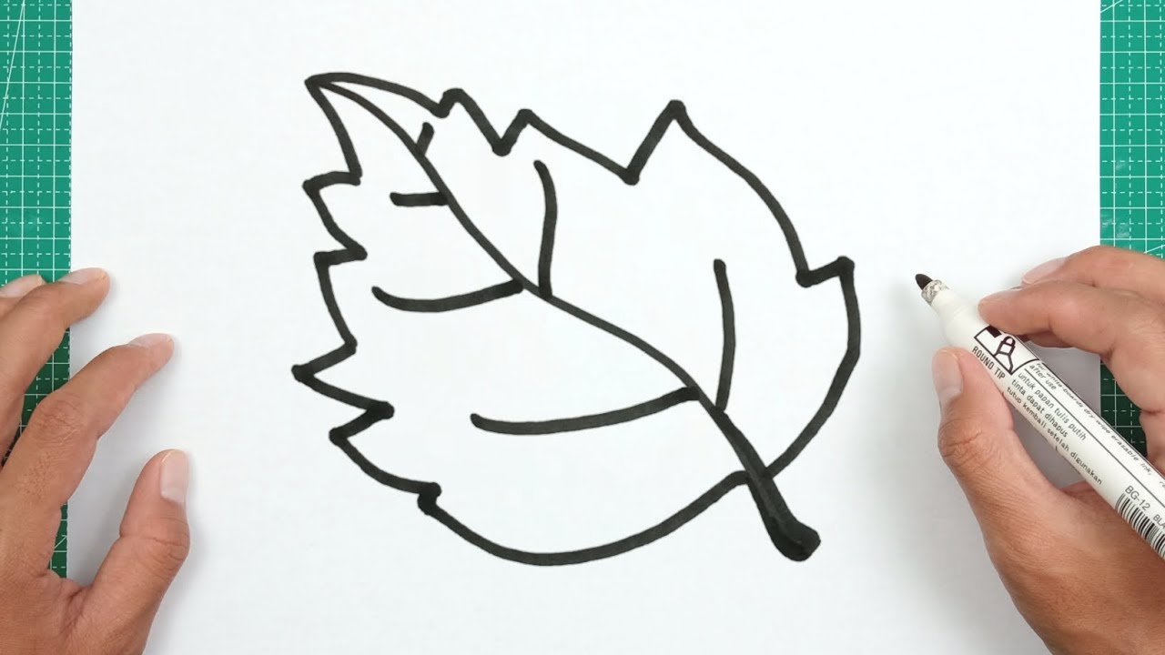 Cara Menggambar Daun Yang Mudah - Tutorial Menggambar