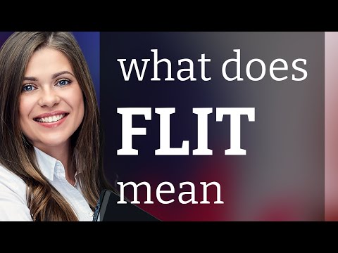 Flit • definition of FLIT