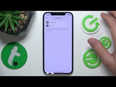 How to Check Which Applications Have Acces to Your Local Network on iPhone?