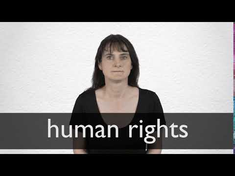 HUMAN RIGHTS definition and meaning | Collins English Dictionary
