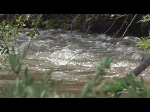 Sean Rima On Demand - KTSA