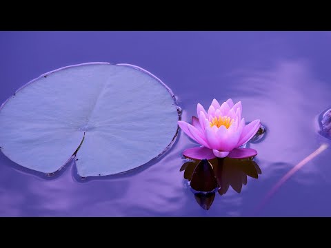 How to practice Kirtan Kriya Meditation