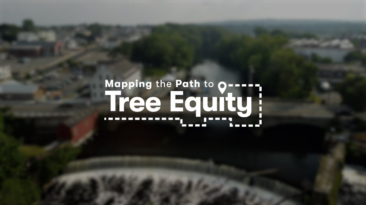 Mapping the Path to Tree Equity