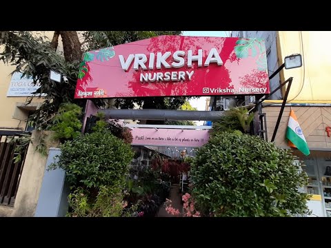 Come Plant Shopping With Me (AGAIN!) At Vriksha Nursery's Retail Store! | Plant Nursery Tour