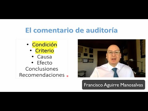El comentario de auditoría