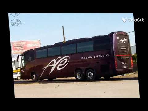 autobuses ave , turimex y Transportes del norte