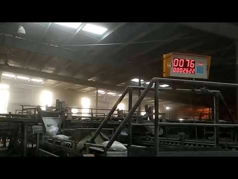 Bag Counter - Digital Bag Counter Latest Price, Manufacturers & Suppliers