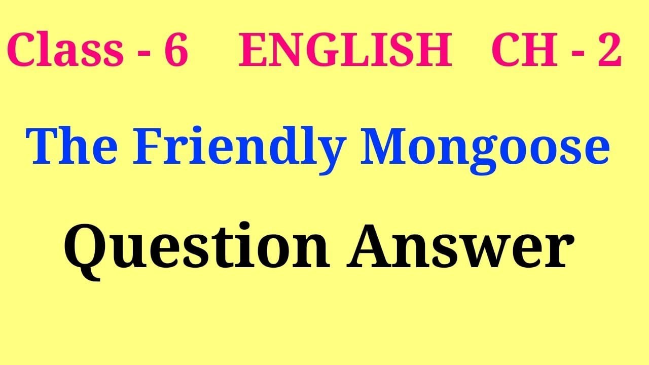 The friendly mongoose question answer | a pact with the sun chapter 2 question answer