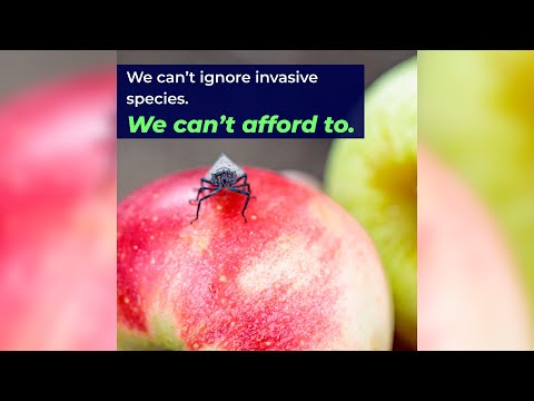 Economic Impacts of Invasive Species in Pennsylvania