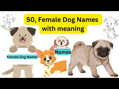 50 Female Names Starting with D: A Comprehensive List