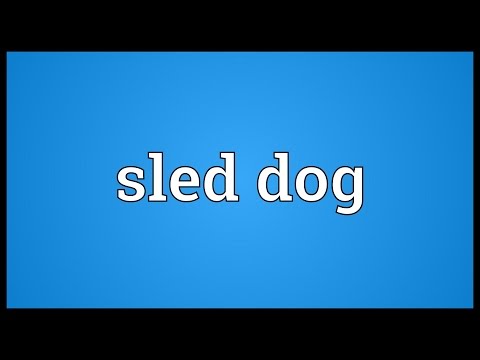 Sled dog Meaning