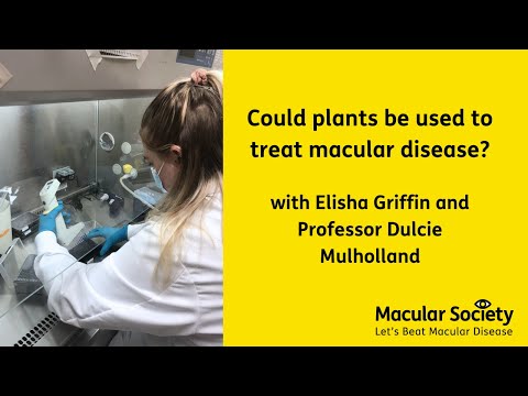Could plants be used to treat macular disease?