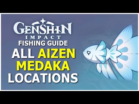 All Aizen Medaka Fish Locations - Genshin Impact