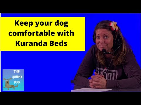 Keep Your Dog Comfortable With Kuranda Beds