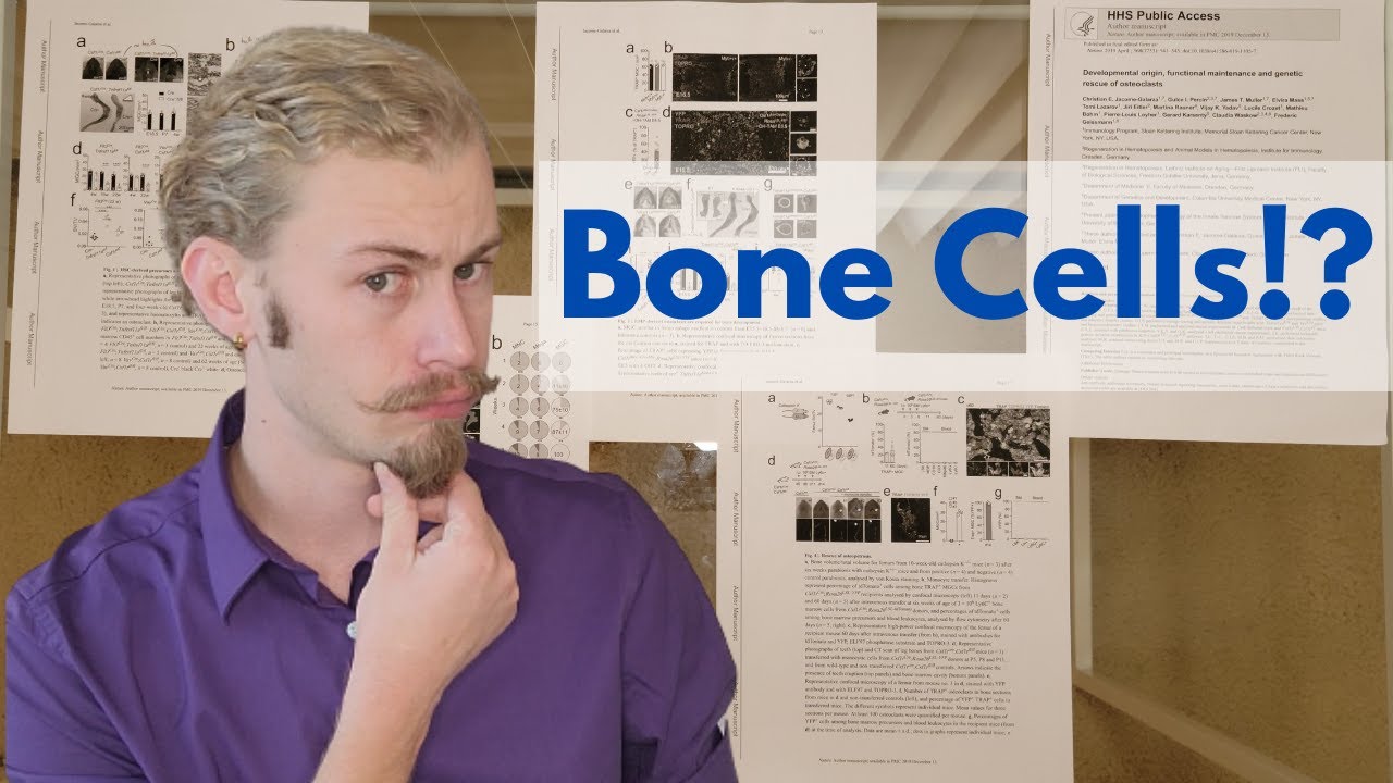 Uncovering Secrets of Bone Cells