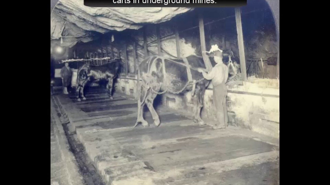 Historic Coal Mining Scenes