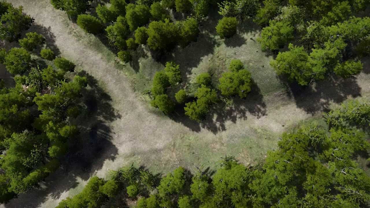 Animated Battlemap - Forest Path 1 (Day) - No Grid