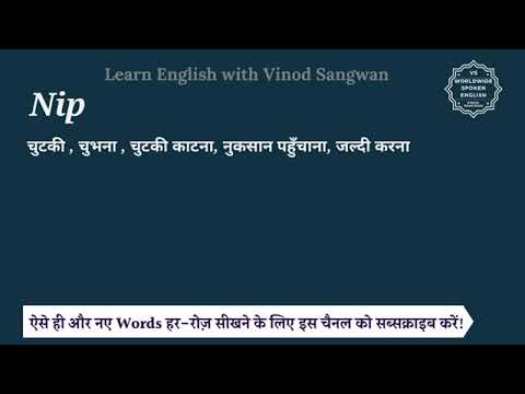 Nip, meaning in Hindi