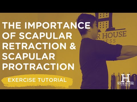 Understanding Your Shoulder Blades: The Importance of Scapular Retraction and Protraction