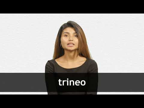 English Translation of “TRINEO” | Collins Spanish-English Dictionary