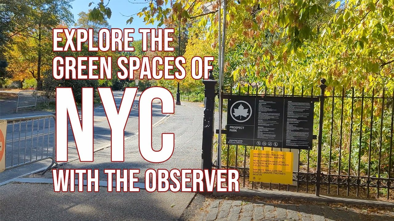 Exploring the Green Spaces of NYC