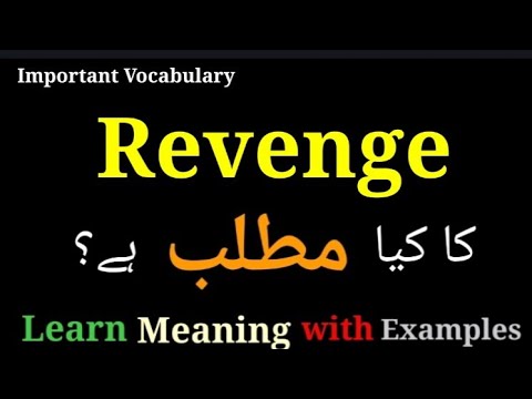 Revenge Meaning in Urdu