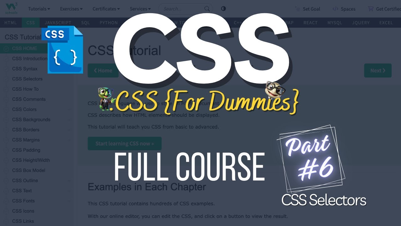 CSS Full Course 06 - Learn CSS Selectors | What are CSS Selectors | W3Schools CSS Tutorial