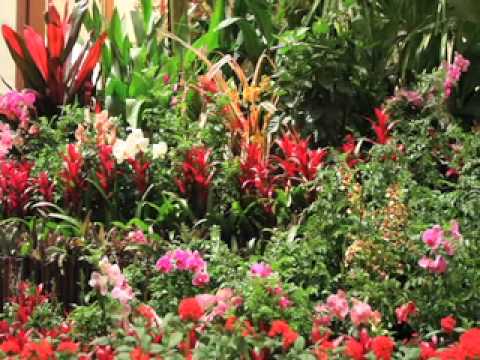 Portfolio | Joe Fricker