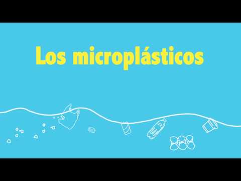 ¿Qué son los microplásticos y cómo nos afectan? | Secretaría de Medio ...
