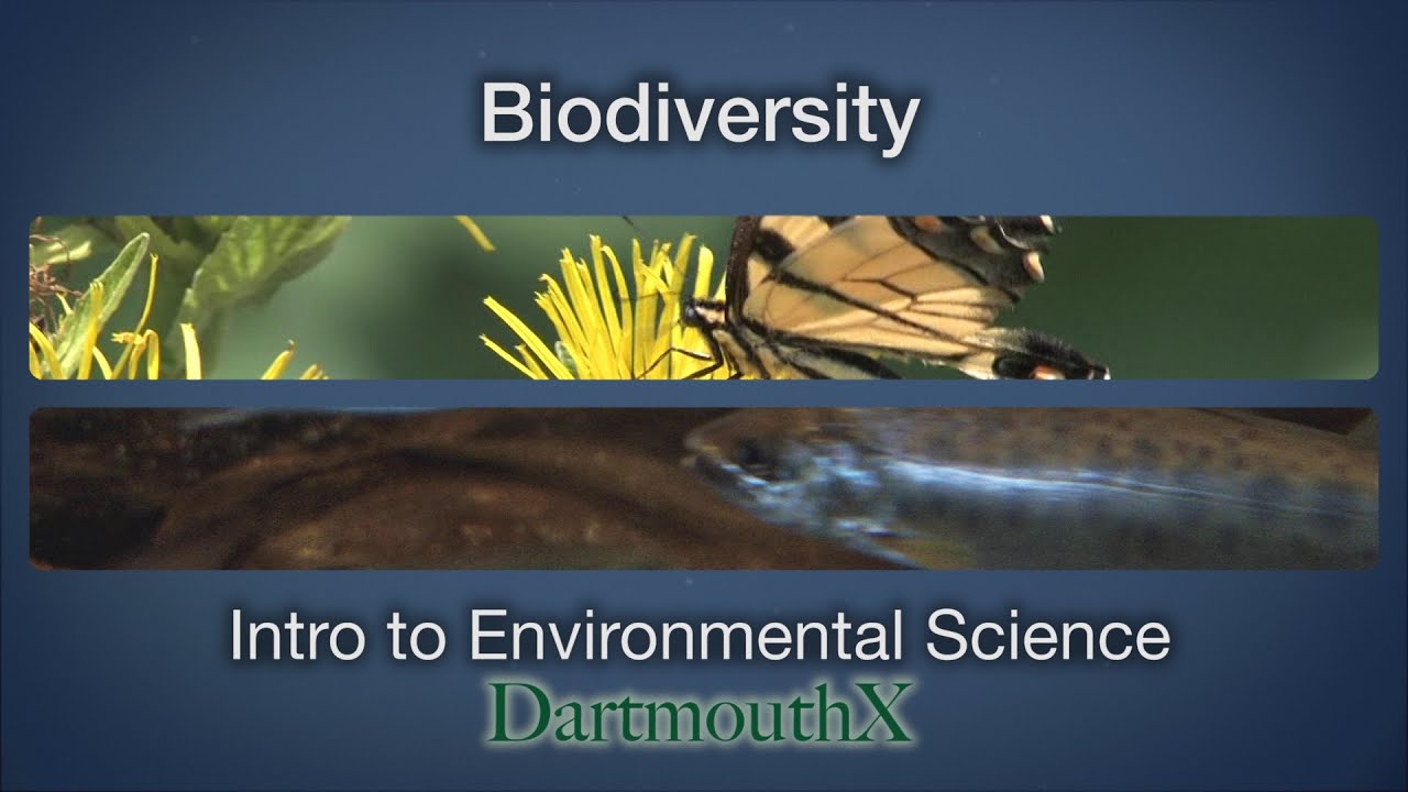 Biodiversity
