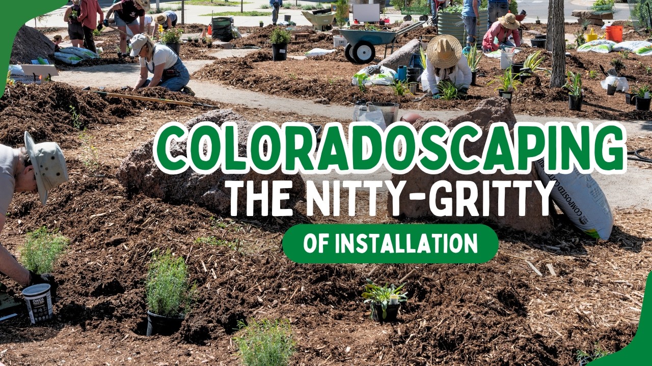 DIY Coloradoscaping 102: How to Install a Climate-Resilient Yard
