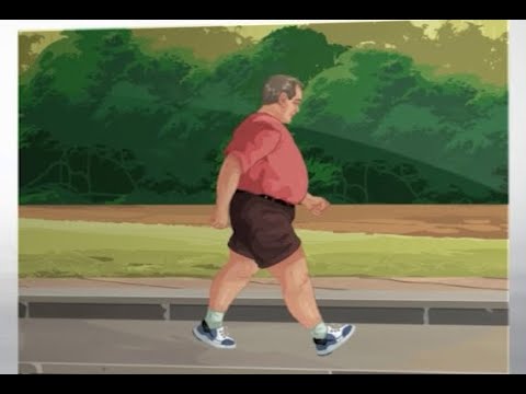 Obesity and weight loss - Understanding Disease