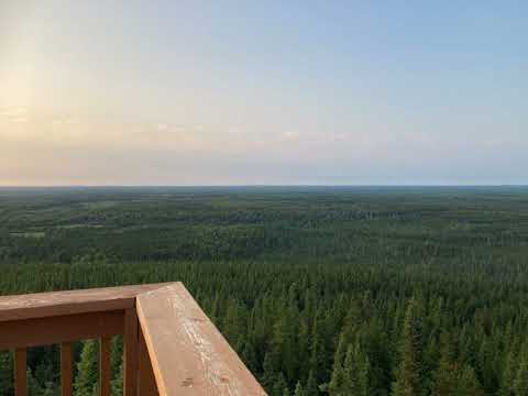 143-Climate Change and The Boreal Forest with Miguel Montoro Girona, Sylvie Gauthier, Guillaume G...