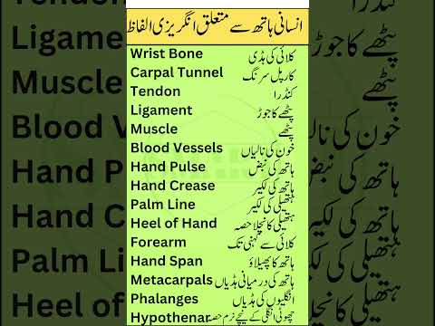 Hand Anatomy Vocabulary in English with Urdu Meanings | Smart Study Zone | Part 3