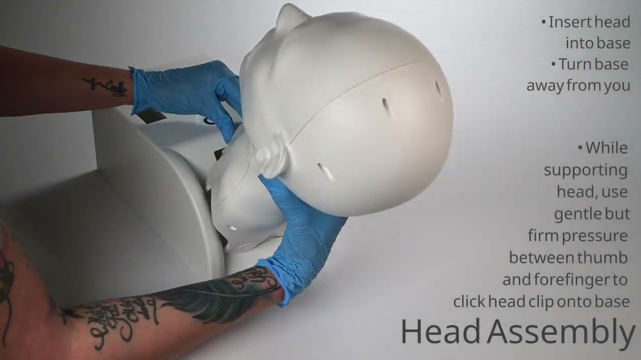 mySim - Module Assembly