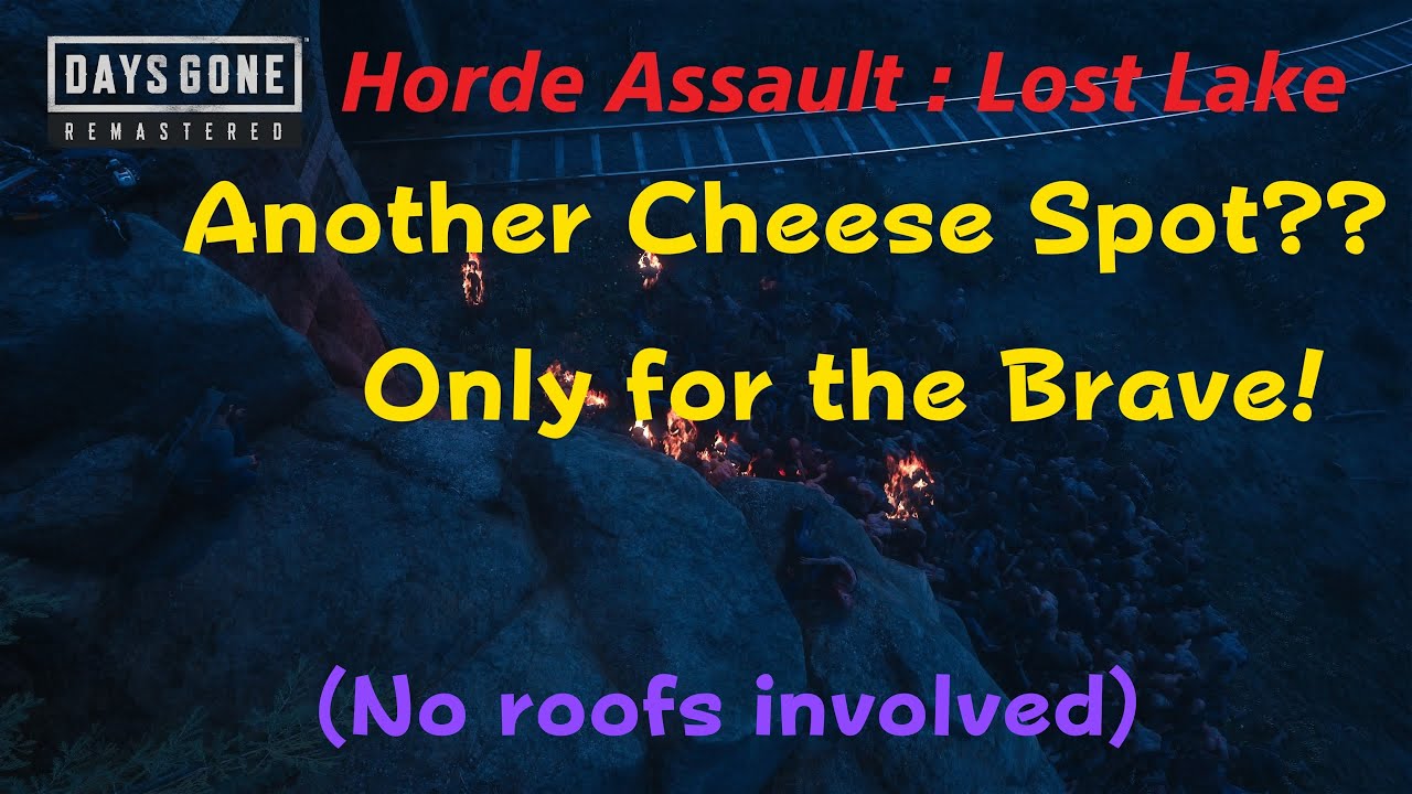 Lost Lake Farm Cheese Rock !