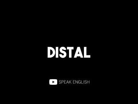 How to Pronounce Distal
