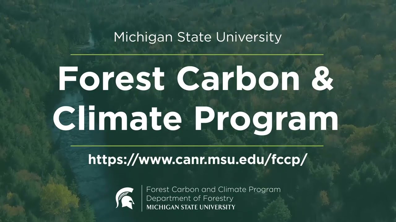 About the Forest Carbon and Climate Program