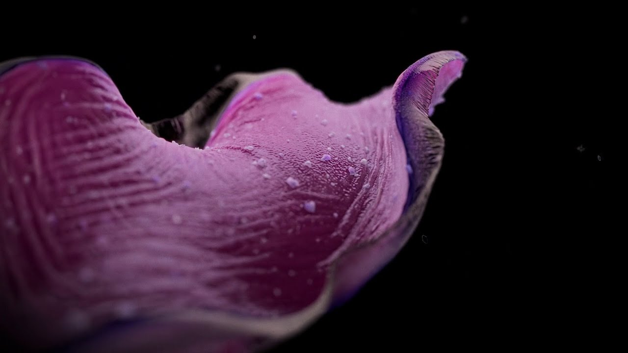 Specimens - Trailer - CGI 3D animation - produced with Houdini + Redshift