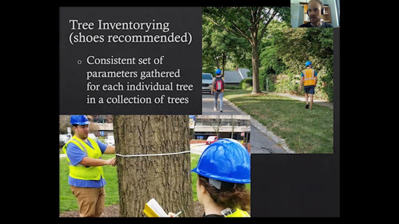 Tree Mapping: An Overview