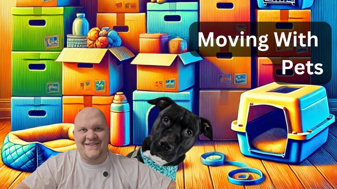 Moving With Pets: 9 Essential Tips for a Smooth Transition