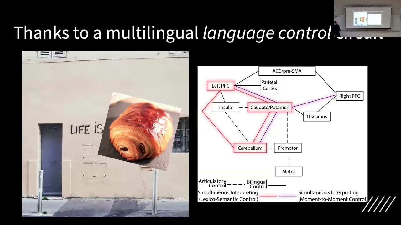 The Neural Basis of Simultaneous Interpretation - Where do we go from here? [ LingMon #227 ]