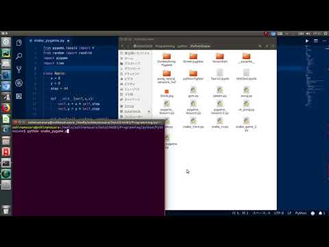 【Python Snake Game】 import pygame