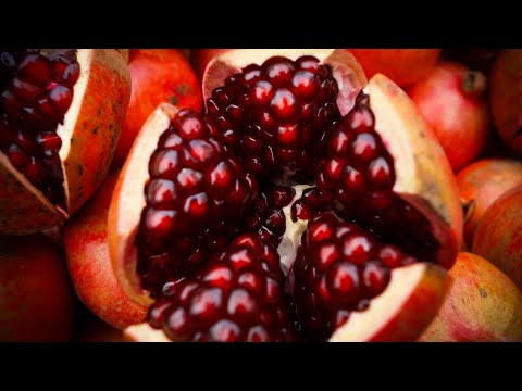 Tarot Symbolism: Pomegranates! It's Tarot Tuesday!