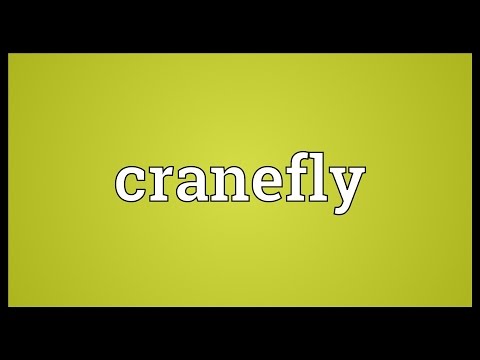 Cranefly Meaning