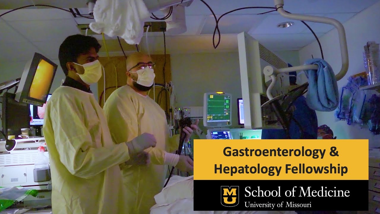 Gastroenterology & Hepatology Fellowship