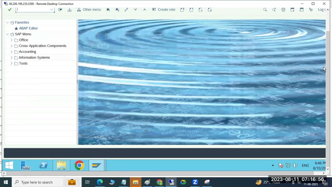 SAP BASIS - ENQUEUE and BACKGROUND  WORKPROCESS