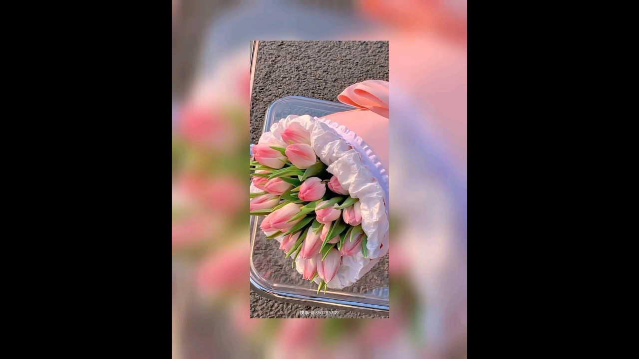 Tulips! 🌷💫 #tulip #flowers