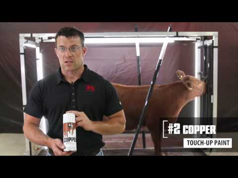 Sullivan's Touch Up for Show Livestock
