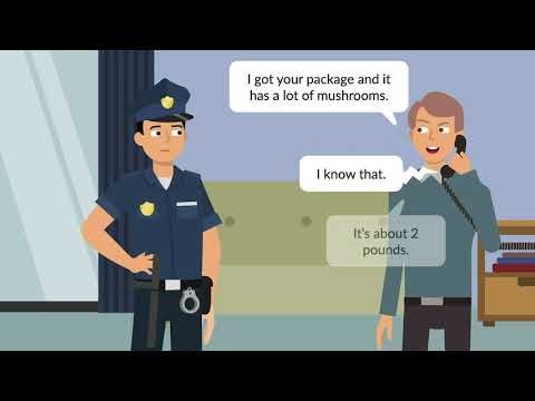 People v. Ryan Case Brief Summary | Law Case Explained